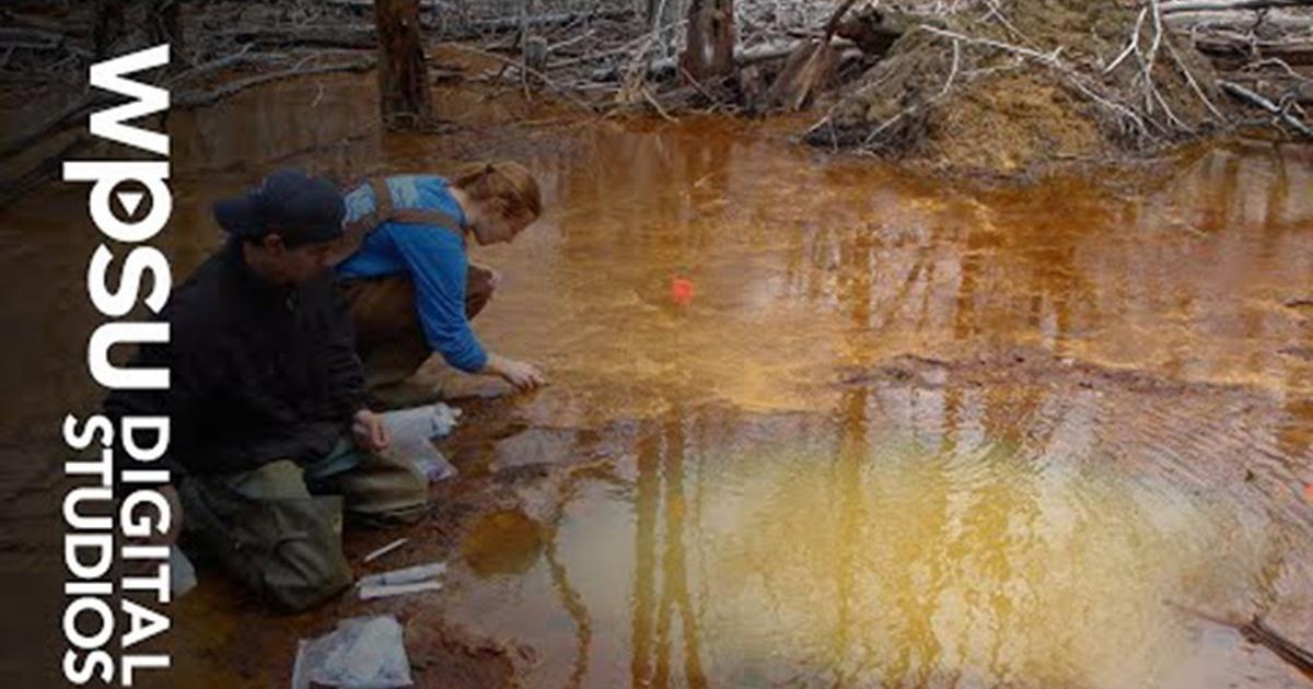 Microbes Clean Abandoned Mine Pollution | Healing the Red Mo | Grades 6 ...