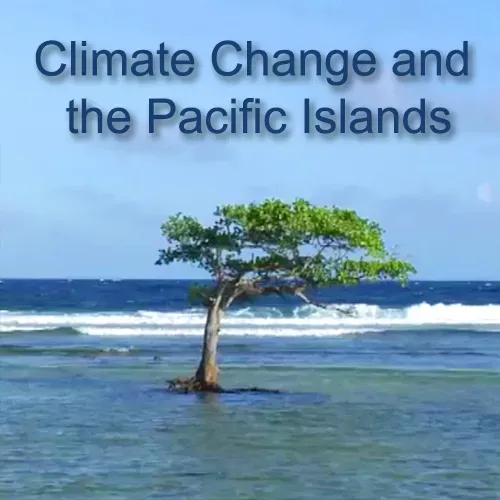 Carbon Dioxide and the Carbon Cycle | PBS LearningMedia