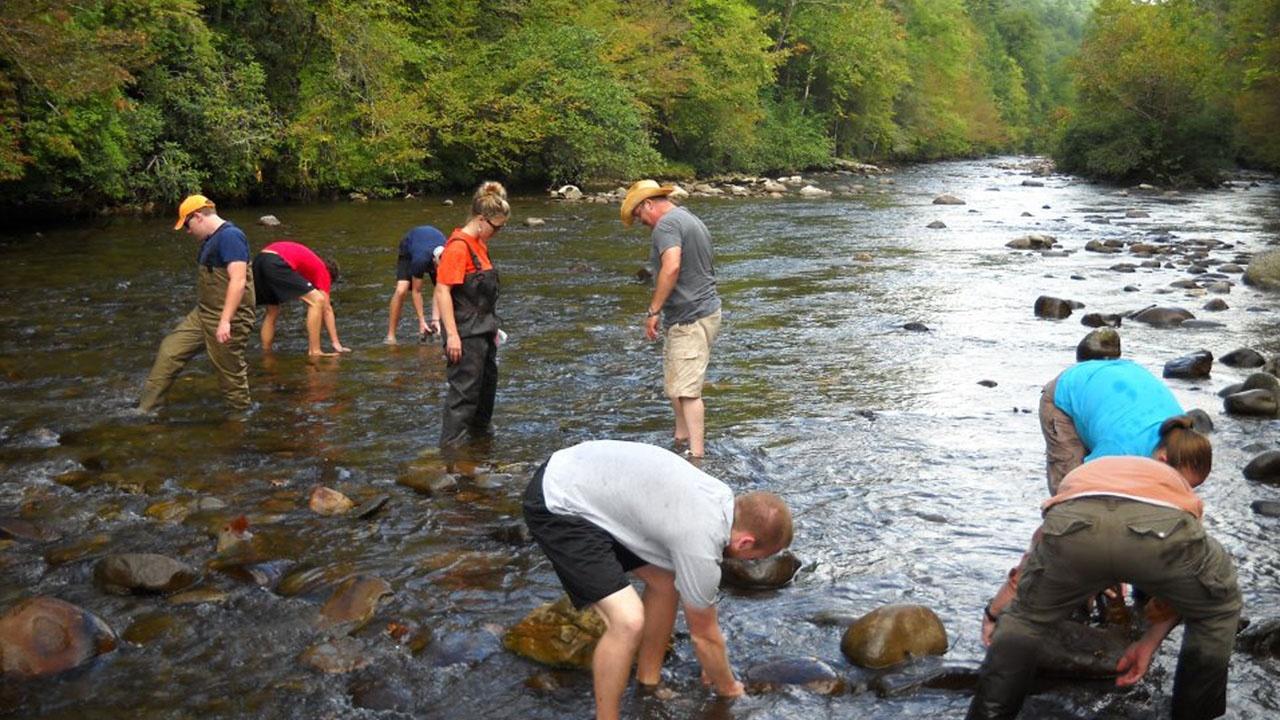 D.R.I.P. Project | PBS LearningMedia