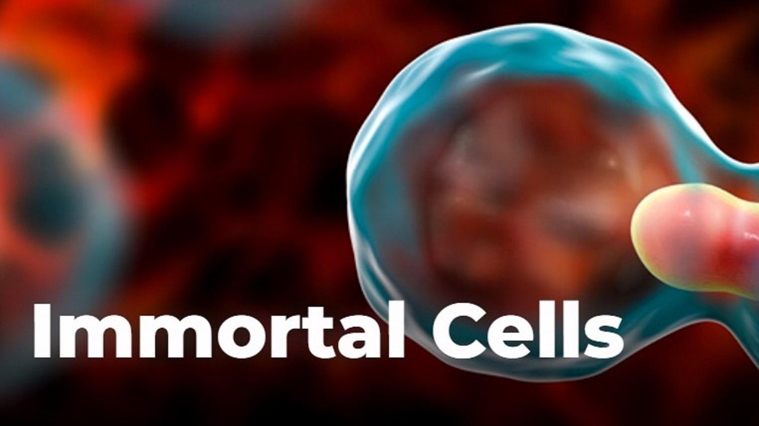 Immortal Cells (Lesson Plan) | Sanford PROMISE | PBS LearningMedia