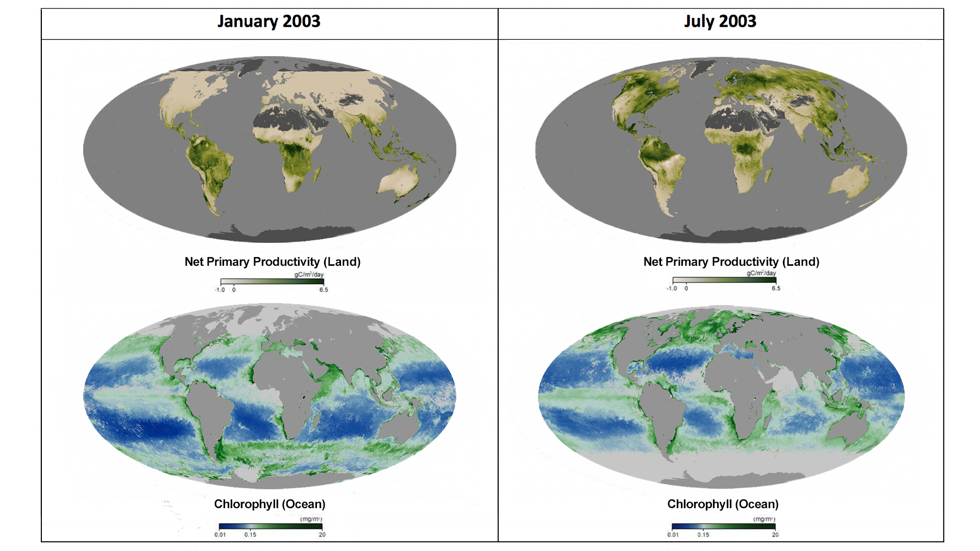 Exploring the Relationship Between Plants and Carbon Dioxide | Lesson ...