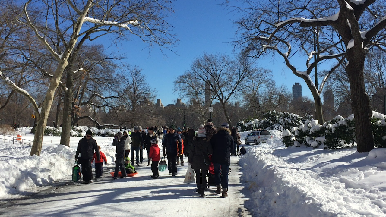 Identifying Different Types of Weather | Lesson Plan | PBS LearningMedia