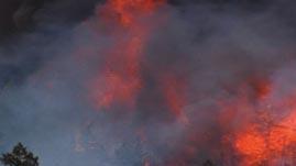 Determining Solutions to a Problem - Fire Cloud | PBS LearningMedia