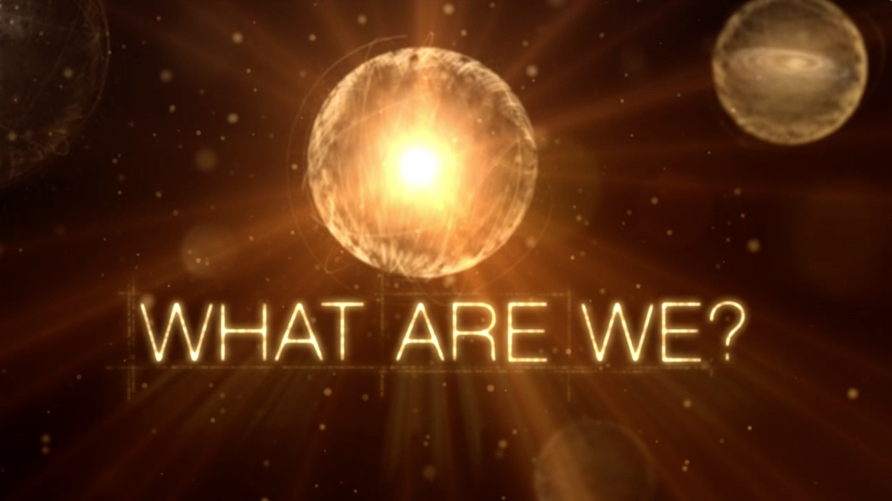 What Are We? Lesson Plan | Genius by Stephen Hawking | PBS LearningMedia