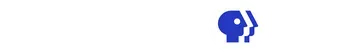 Detroit PBS Livestream