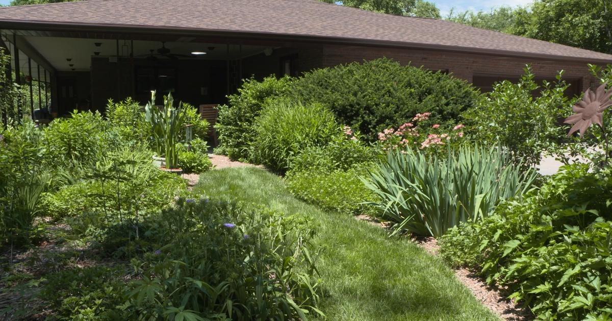 Backyard Farmer | Backyard Farmer: Backyard Garden Evolution | PBS