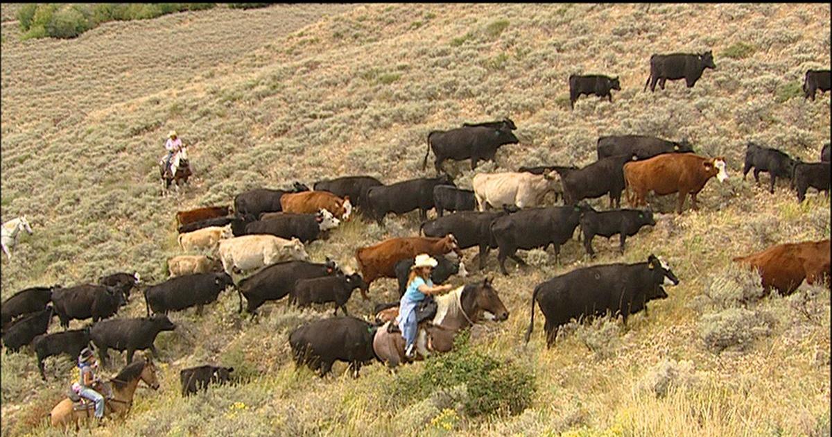 Scout-People & Culture | Ranch Family Heritage (Outdoor Idaho) | PBS