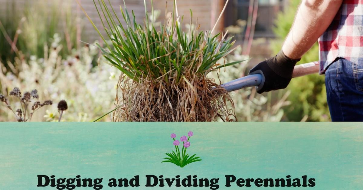 Let's Grow Stuff | PBS
