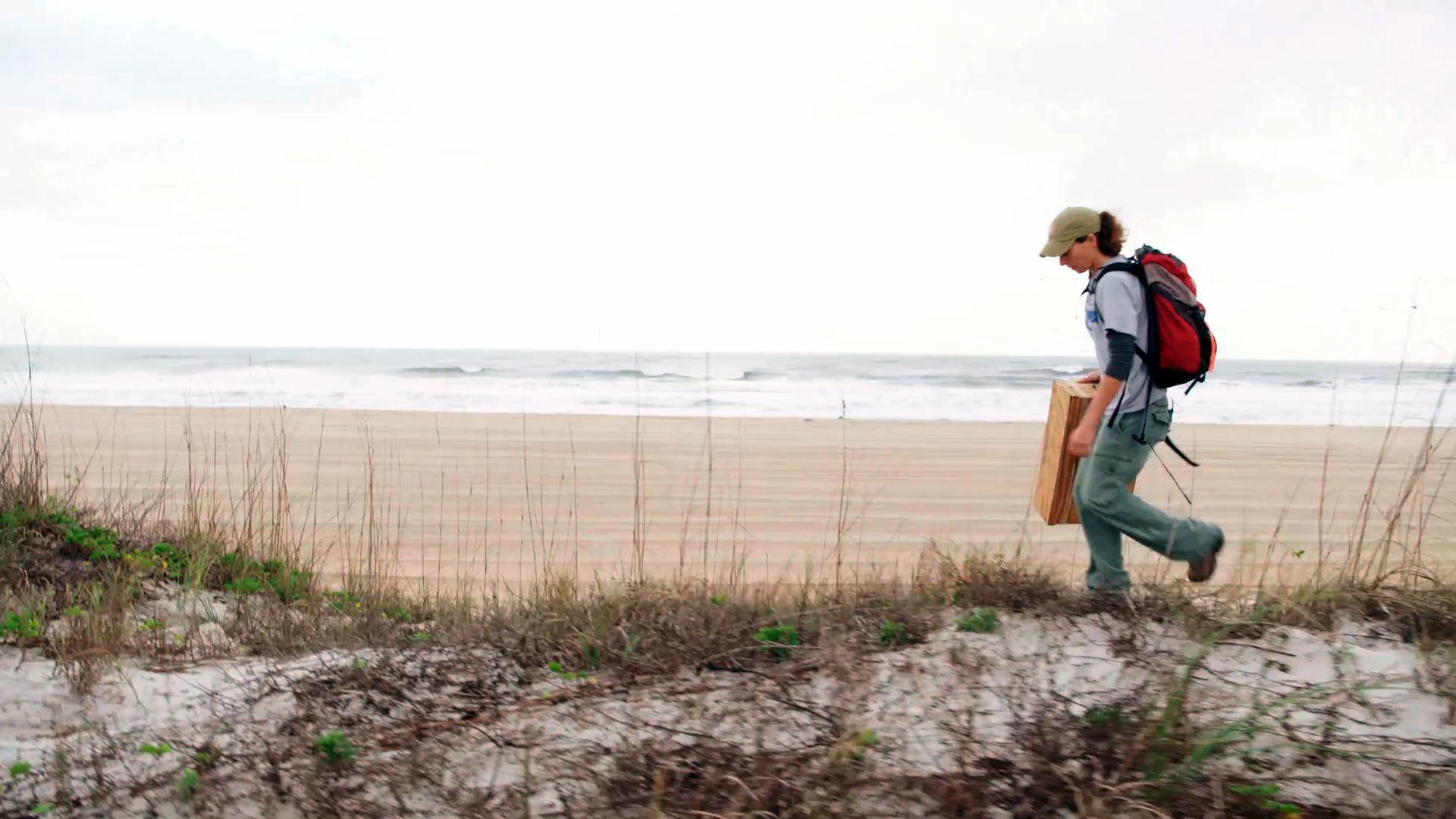 RARE Heroes: Sandra | Rare | NJ PBS