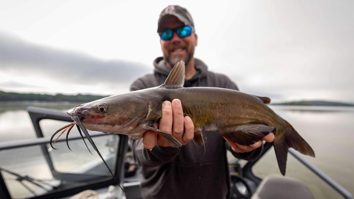 Catfish and Cattails | Watch on PBS Wisconsin