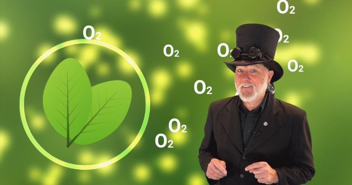 Steve Trash Science | What Is Science?/Food Webs | Season 2023 | PBS