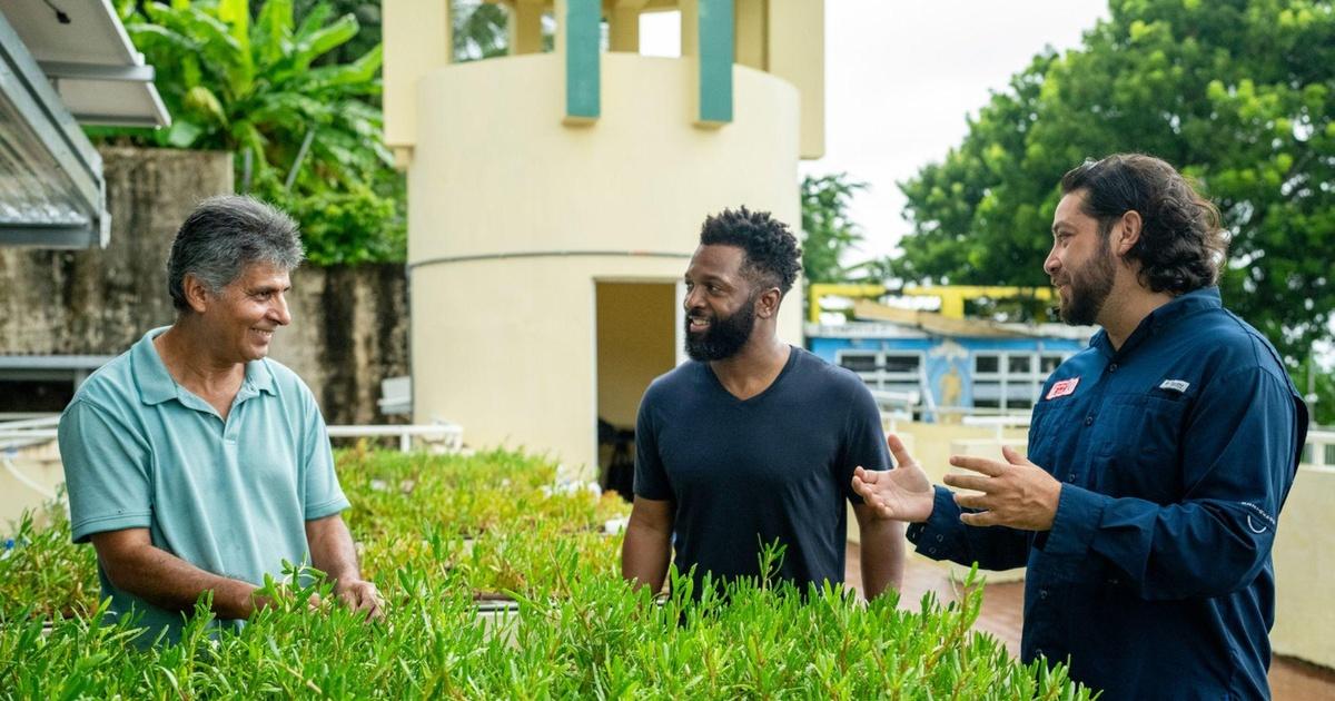 Hope in the Water | Puerto Rico’s Resilience in the Wake of Hurricane ...