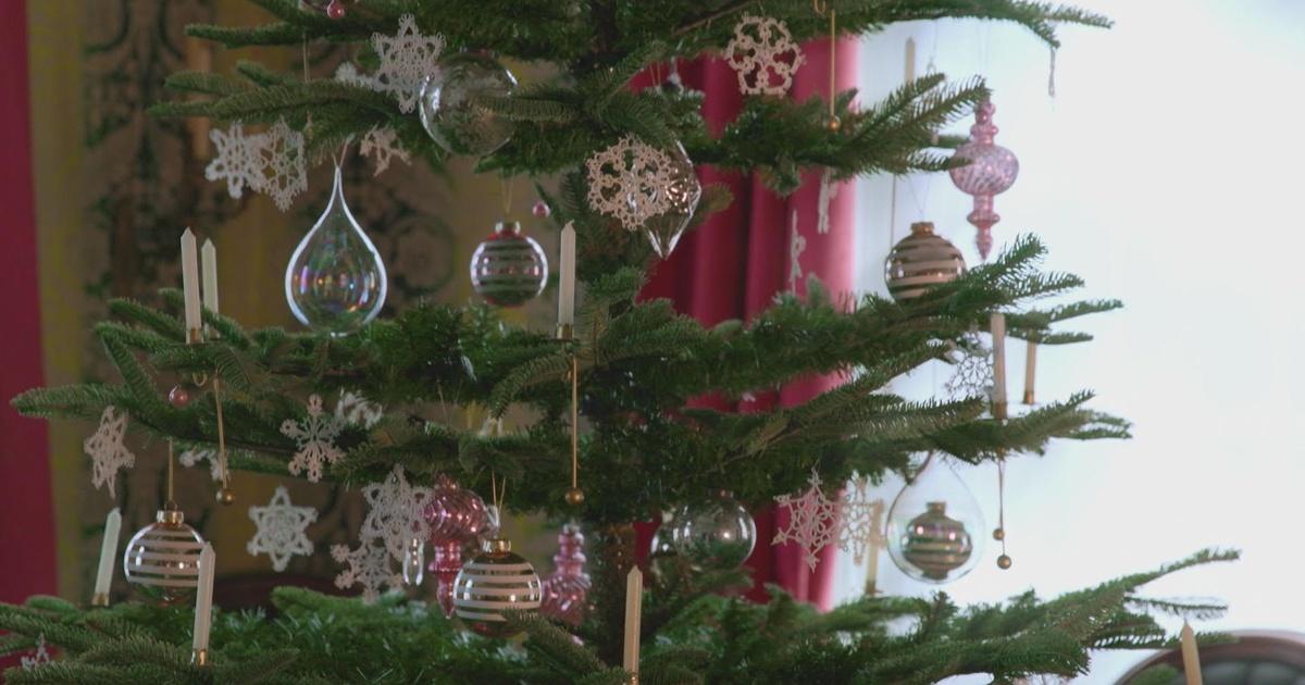 Kentucky Life | PBS