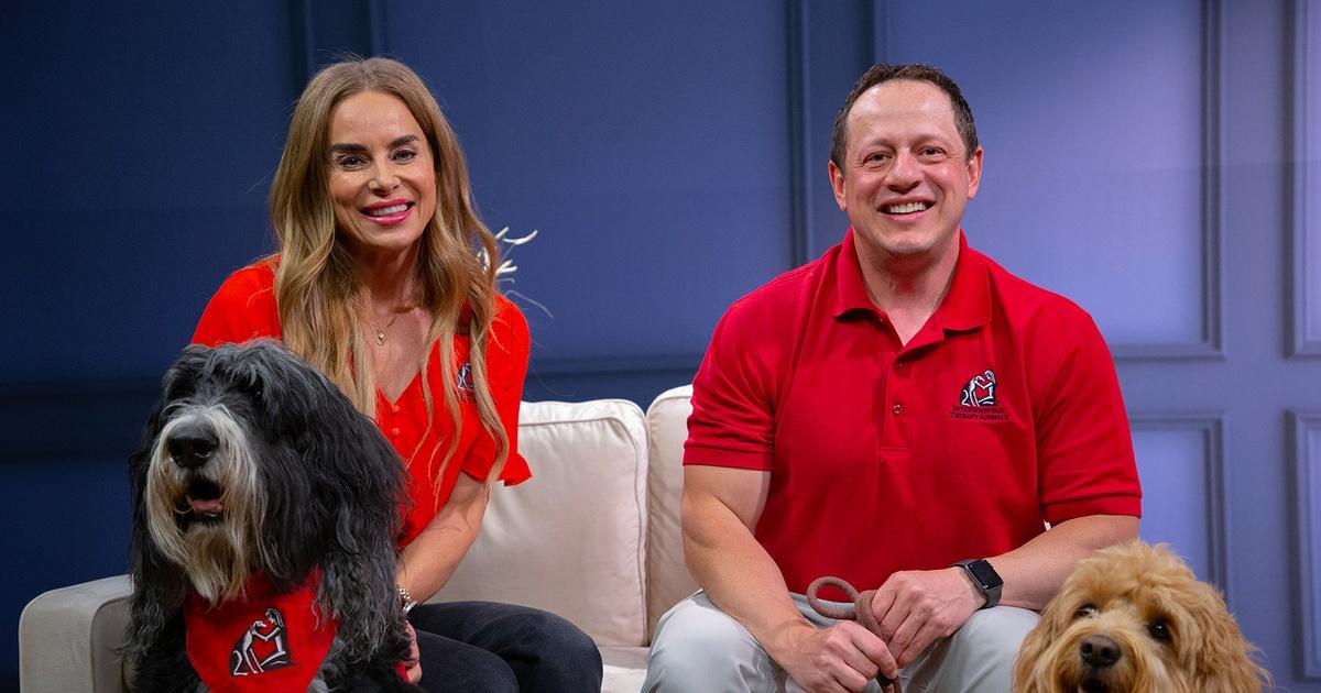 Contact | Intermountain Therapy Animals: Paws in Wonderland | PBS