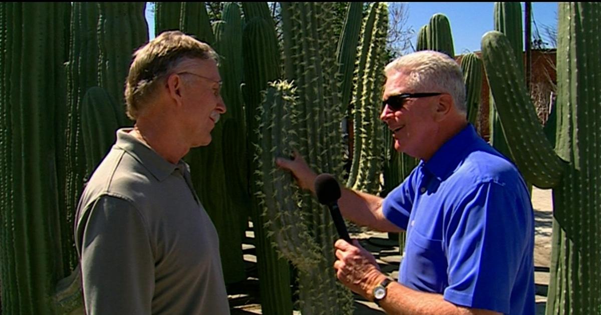 Visiting with Huell Howser | Movie Nursery | Season 17 | PBS