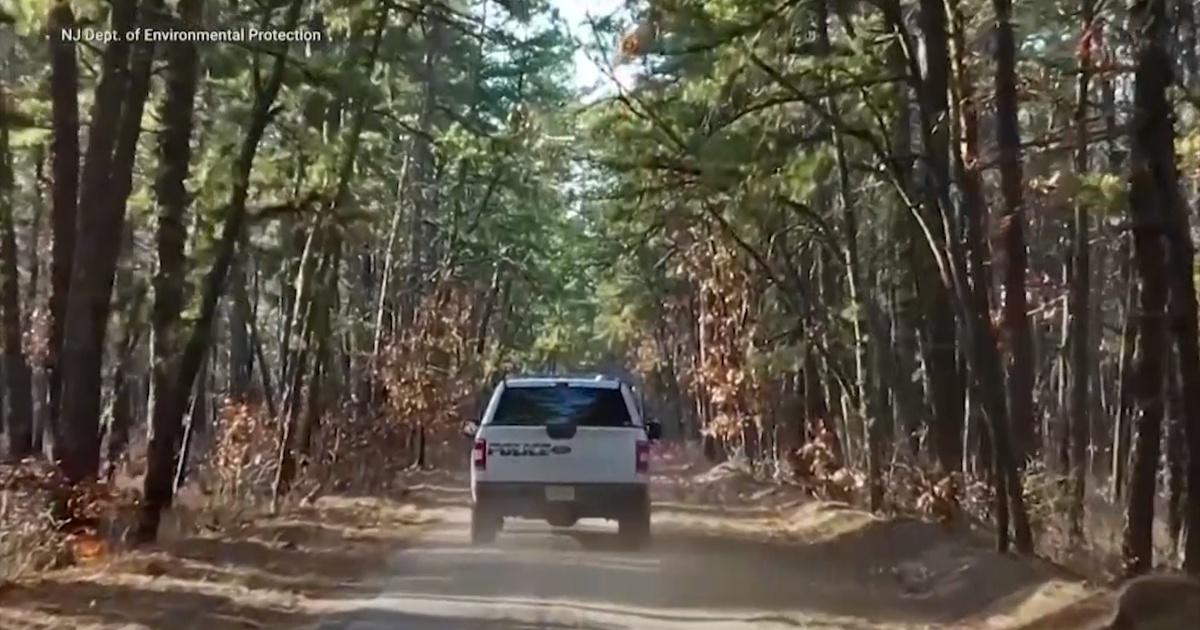 NJ Spotlight News | New Wharton State Forest access map draws mixed ...