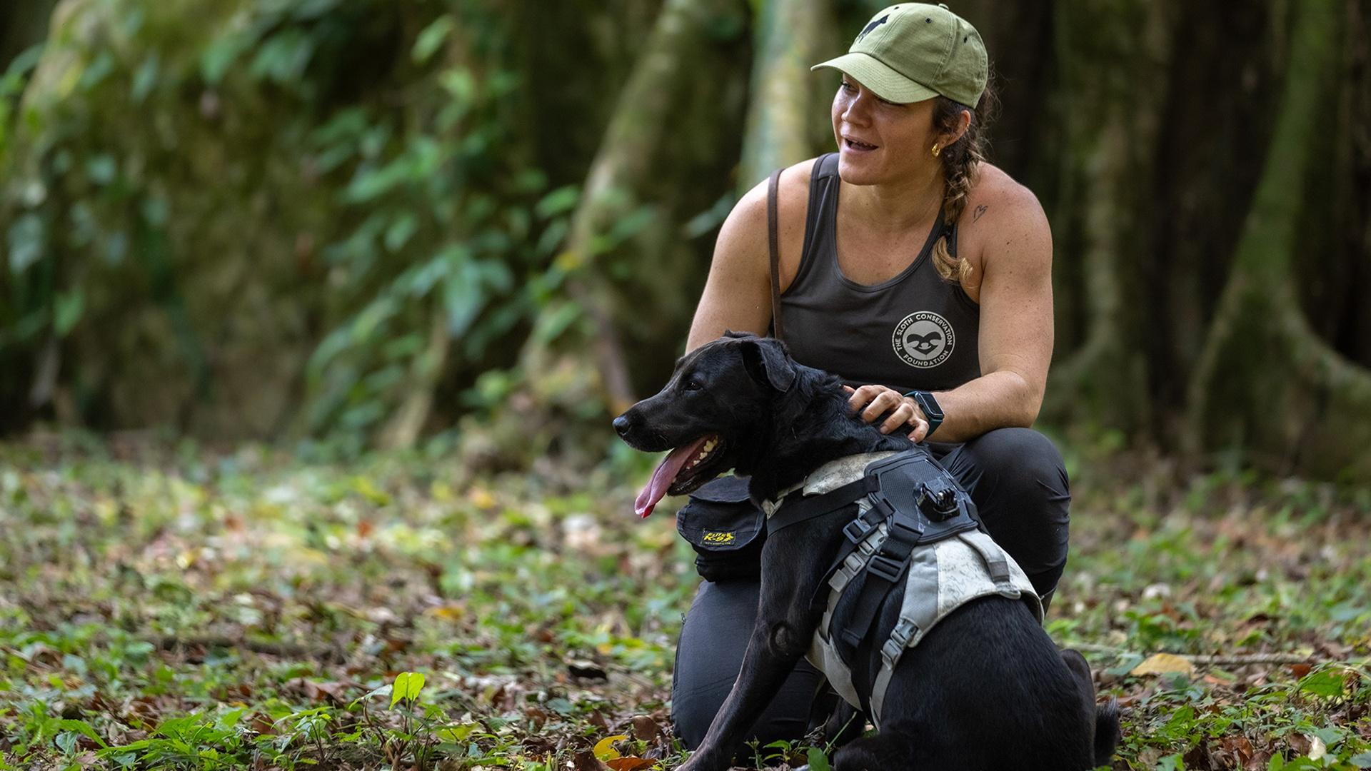 How This Sloth Poop-Sniffing Dog is Saving the Species | Nature ...