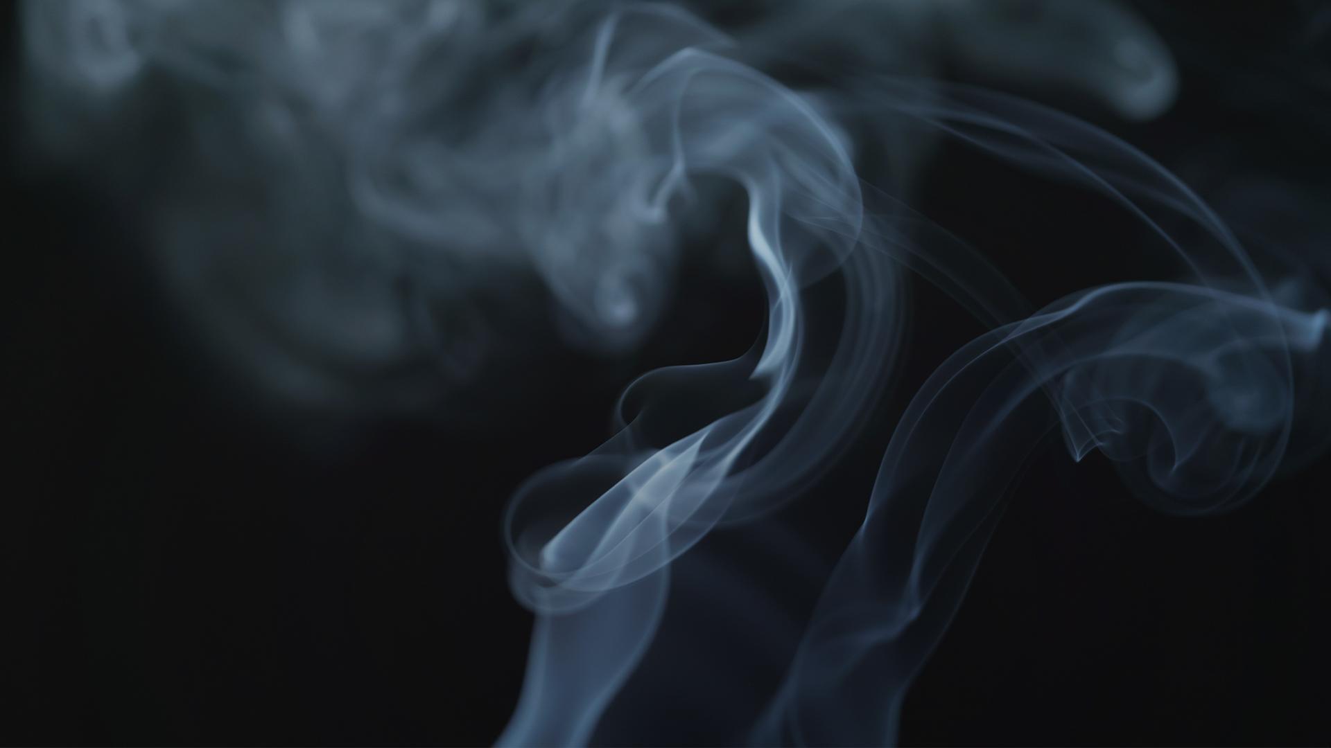 The Cannabis Question | NOVA | NJ PBS