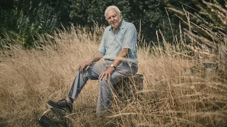 Extinction: The Facts | PBS