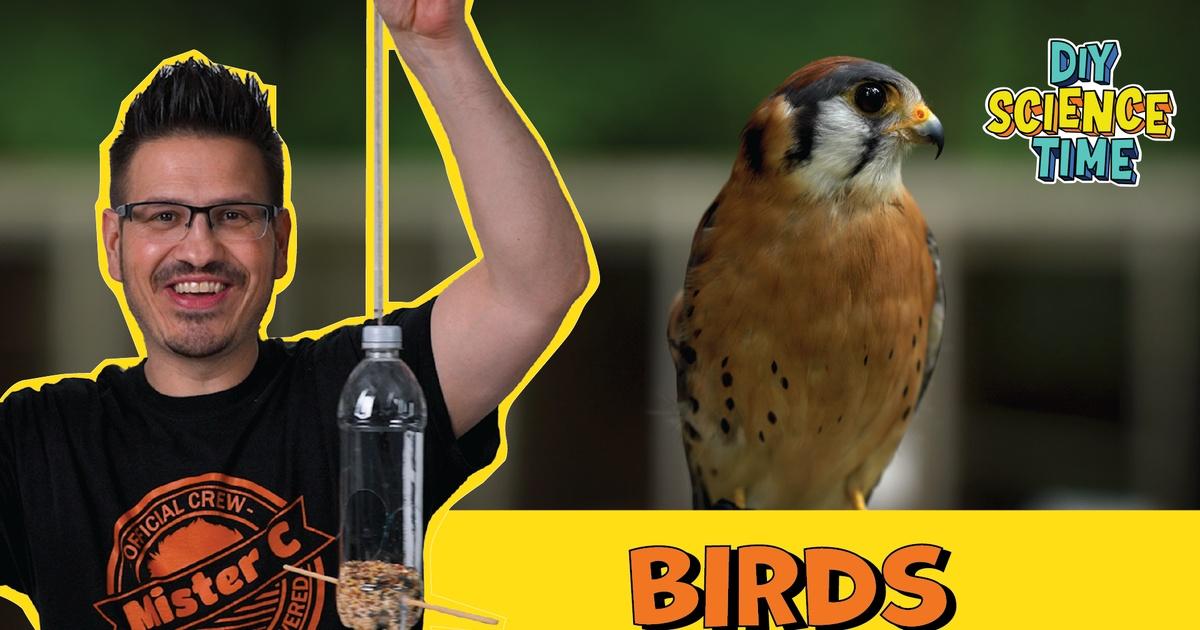 DIY Science Time | PBS