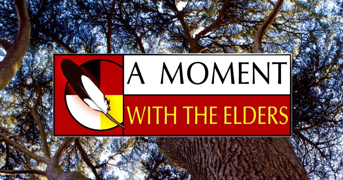 Minnesota First Nations | A Moment with the Elders: Brenda Child ...
