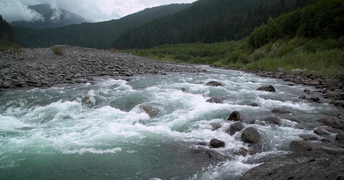 Oregon Field Guide | Elwha River rebounds after dam removal | Season 36 ...