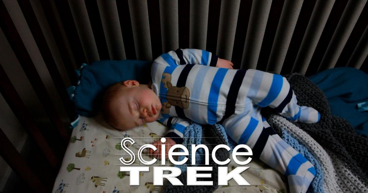 Science Trek | Sleep: Sleep Facts | PBS