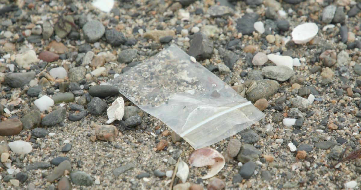 Rhode Island PBS Weekly | Green Seeker: Plastic Pollution | Season 5 ...