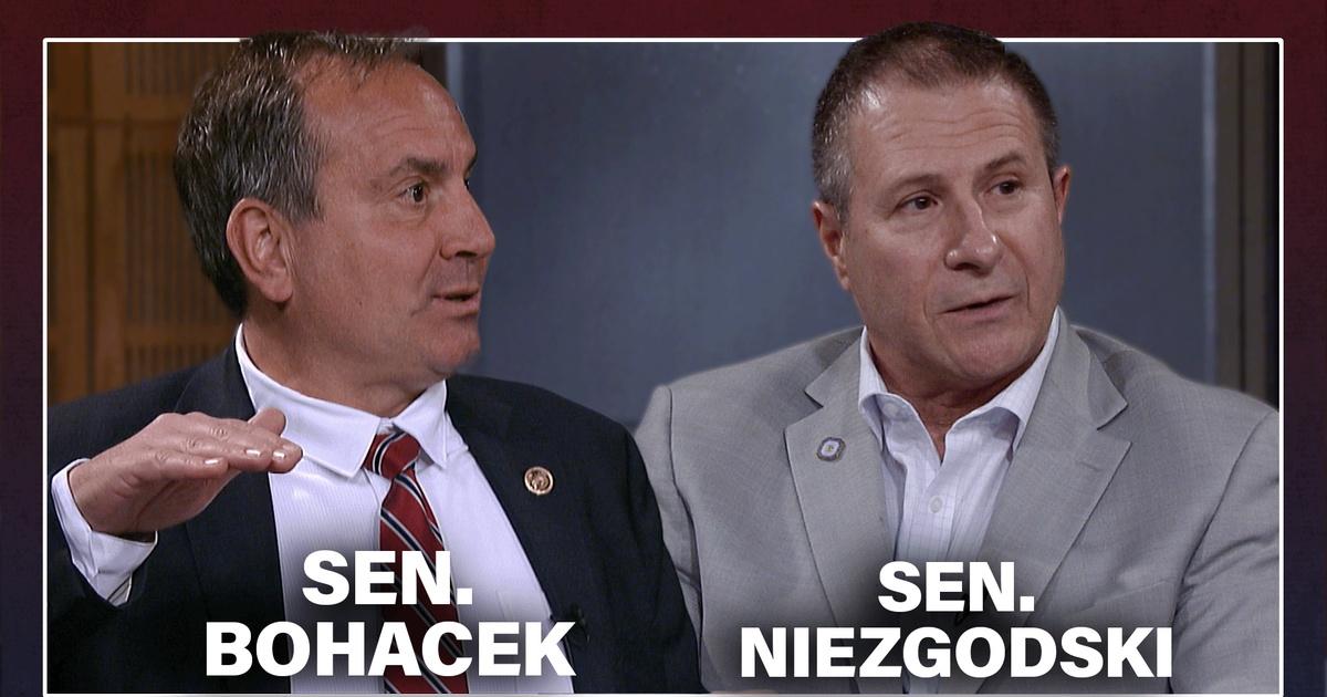 Politically Speaking | Sen. Mike Bohacek and Sen. David Niezgodski ...
