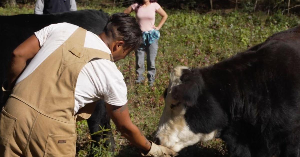 A Fork in the Road | Working Farms | Season 6 | PBS