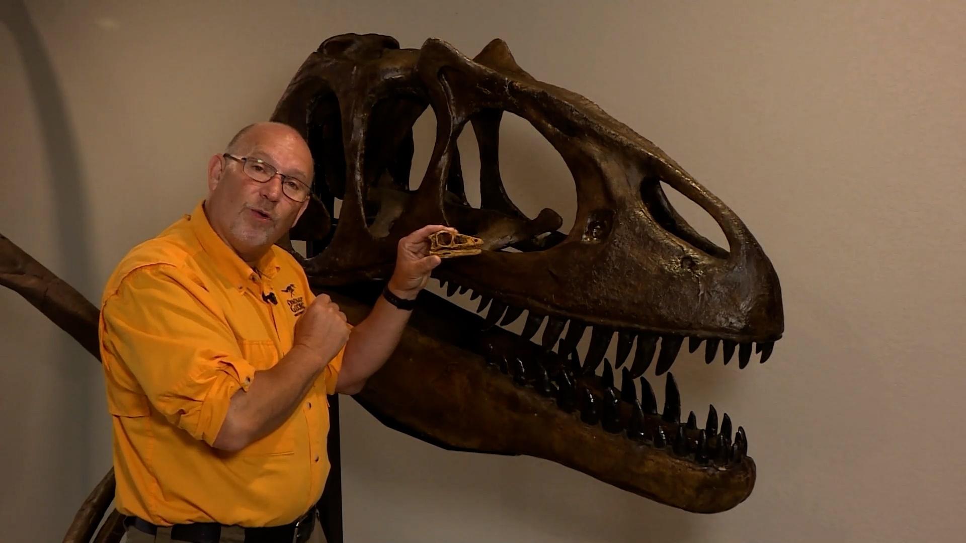 Favorite Color Day | Camp TV | THIRTEEN - New York Public Media