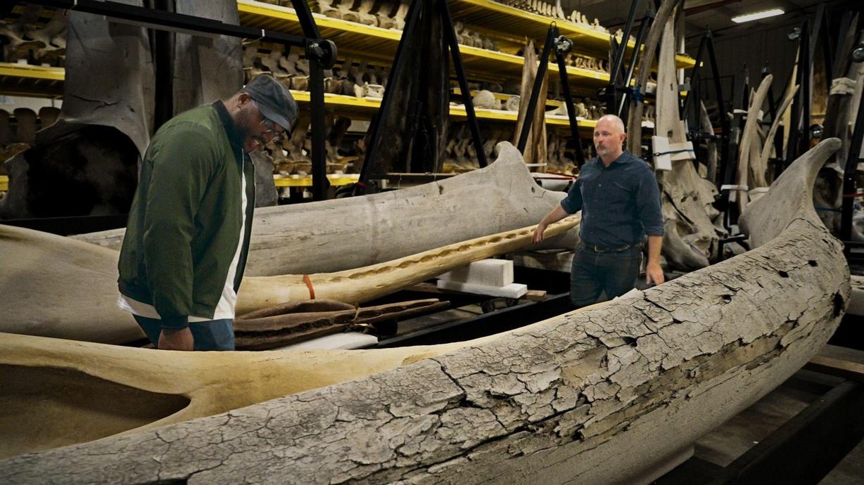 Secrets of the World’s Only Whale Warehouse | Watch on PBS Wisconsin