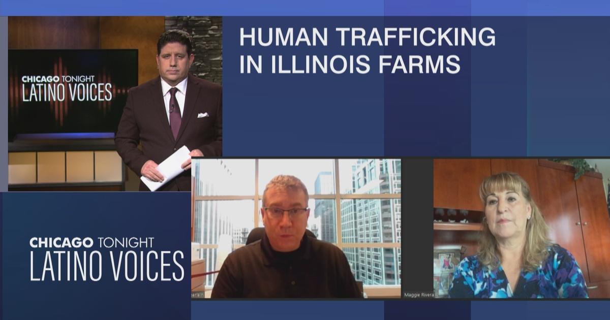 Chicago Tonight: Latino Voices | Agricultural Labor Trafficking Growing ...