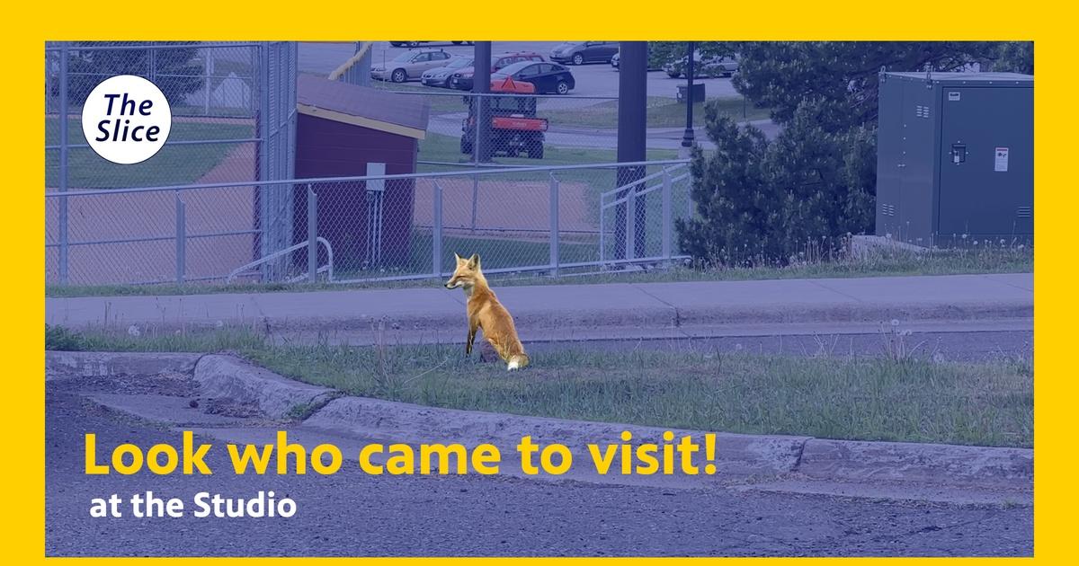 The Slice | Look who came to visit! | Season 2023 | PBS