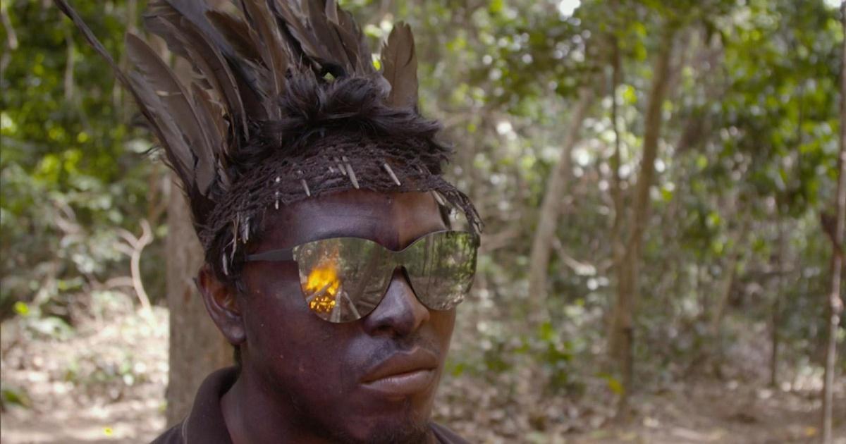 Earth Focus | Building A Future: Lumber Poaching In Oregon and Brazil ...