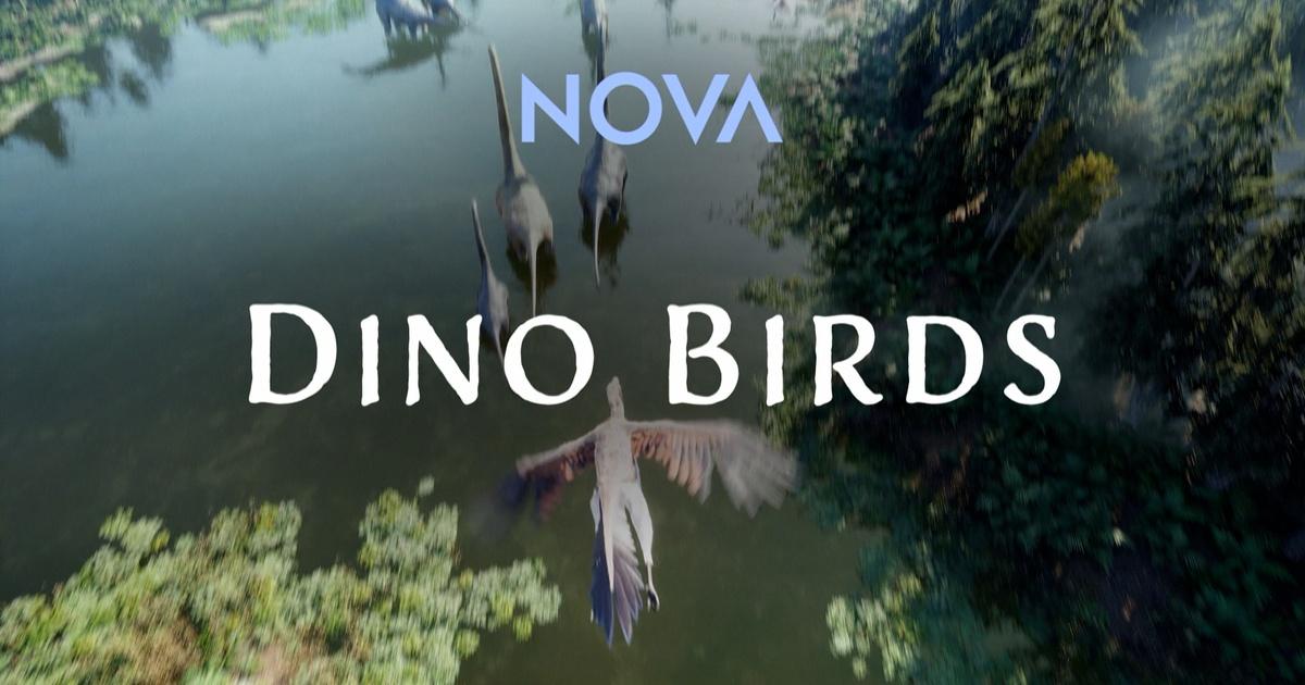 WTVP Spots | NOVA #5203 | Dino Birds | Trailer | Season 2024 | PBS