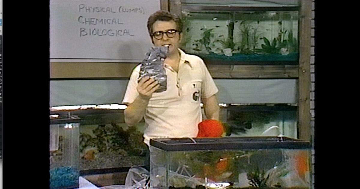 Guppies to Groupers | Review | Episode 13 | PBS