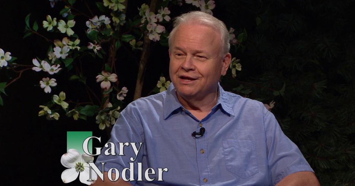 OzarksWatch Video Magazine | A Century of Service: Members of Missouri ...