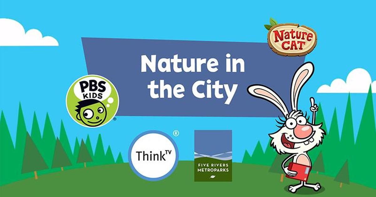 Nature Tv Pbs