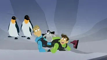Wild Kratts | Mystery of the North Pole Penguins? | Season 5 | Episode ...