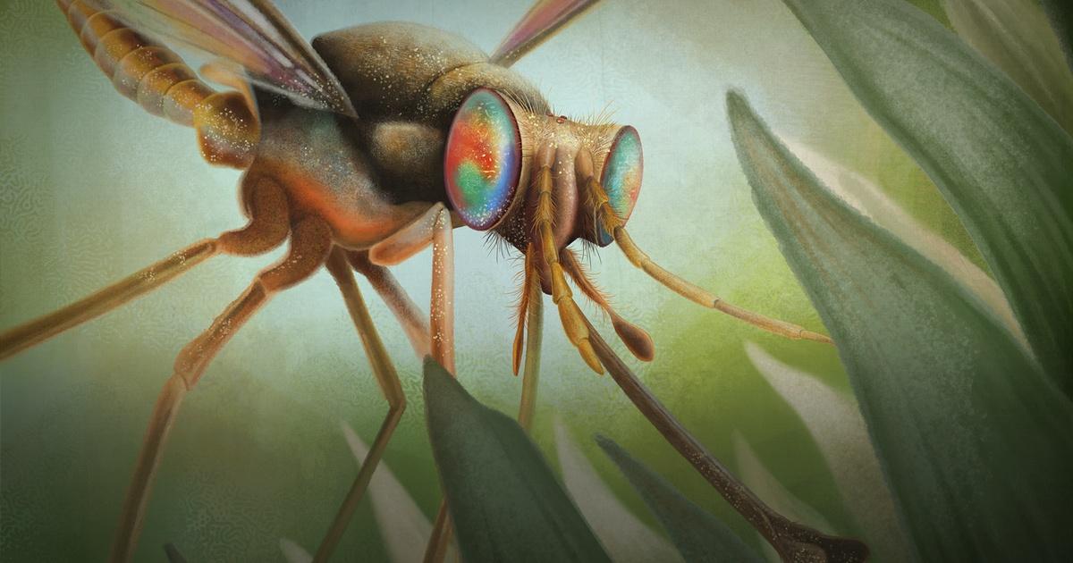 Eons | How Pollination Got Going Twice | Season 4 | Episode 7 | PBS