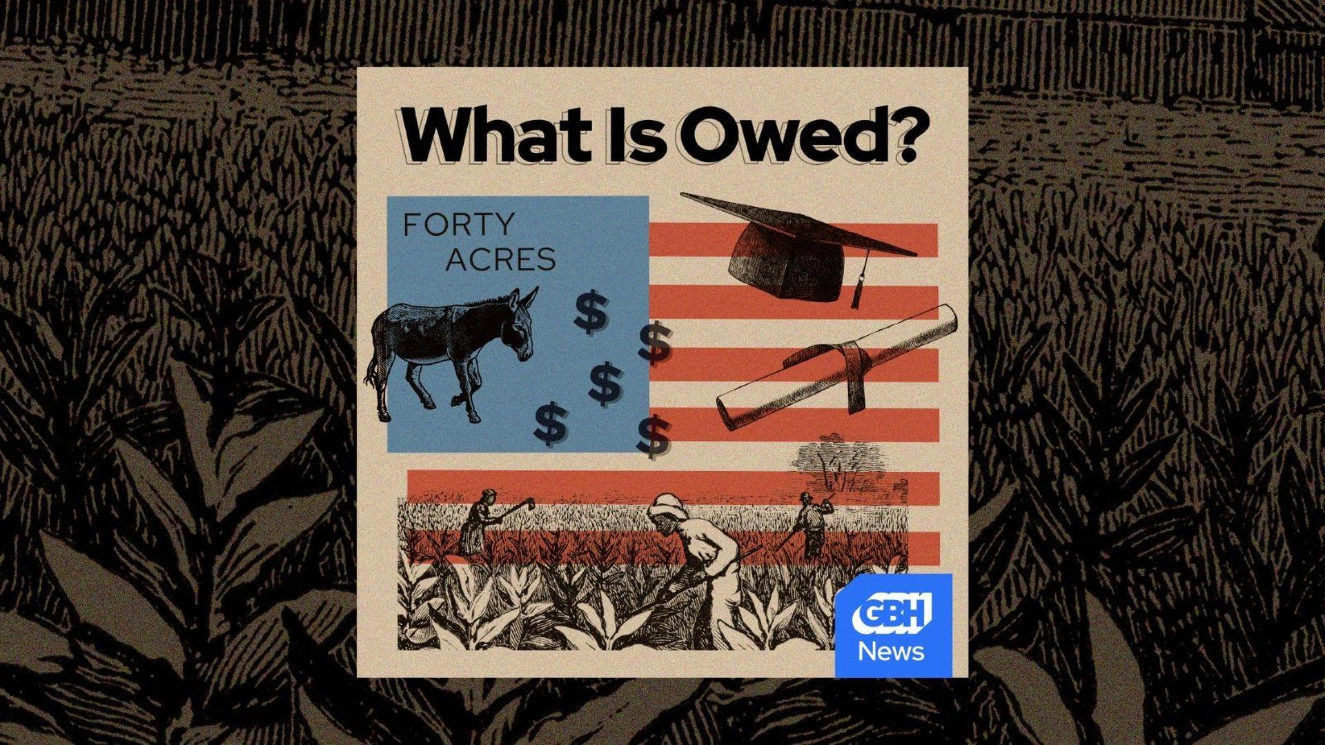 What is Owed? Reparations in Boston and Beyond | Basic Black | THIRTEEN ...