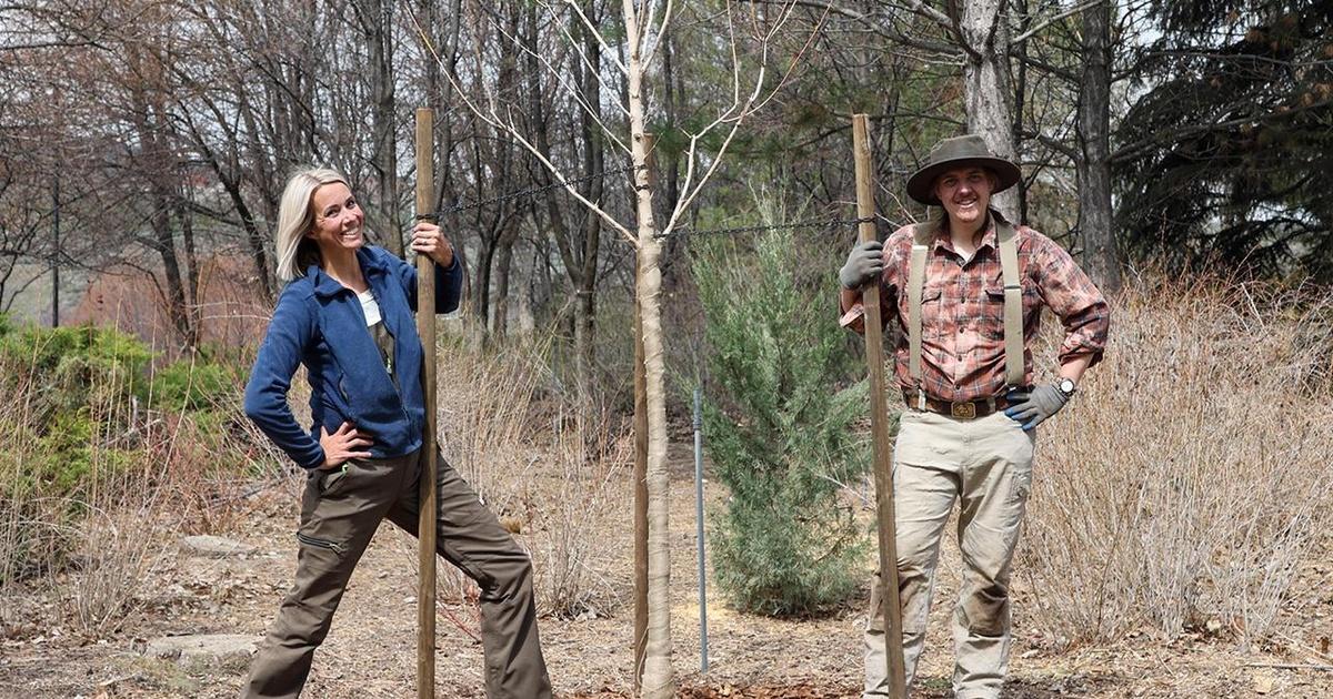 Modern Gardener | How to Properly Plant a Tree | Episode 95 | PBS