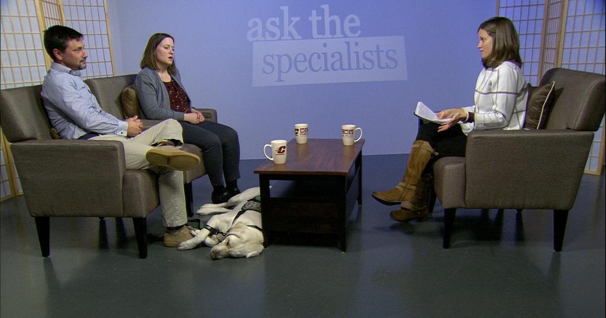 Ask The Specialists | Ask The Specialists: Doctors | Season 22 ...