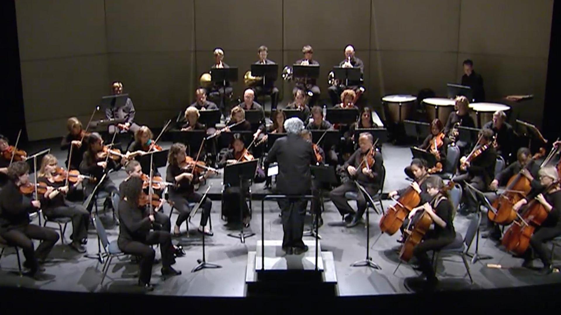 Maestros: Chamber Orchestra of the Triangle | PBS NC Arts | ALL ARTS