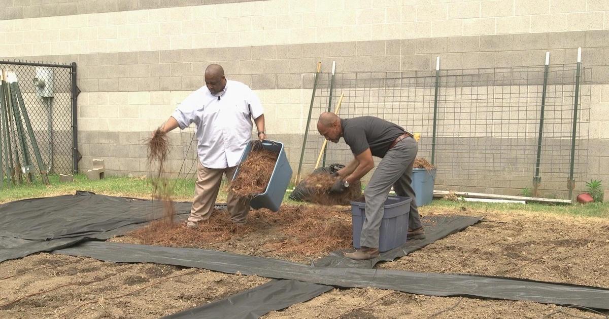 The Family Plot | Laying Organic Mulch & Summer-Blooming Shrubs ...