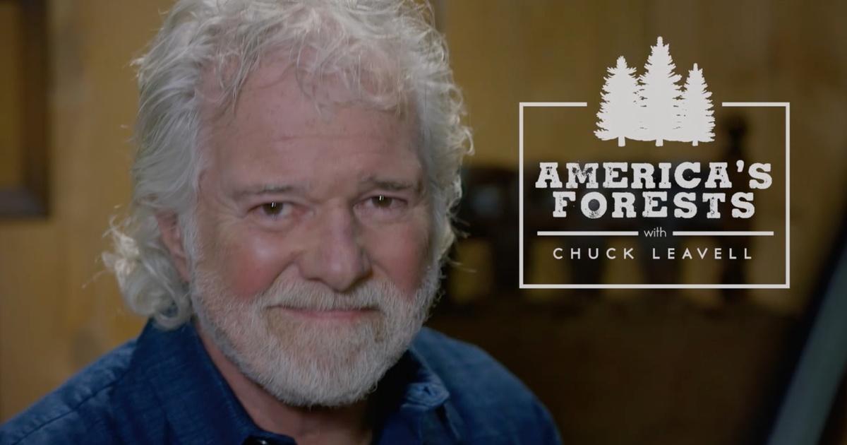 America's Forests with Chuck Leavell | PBS