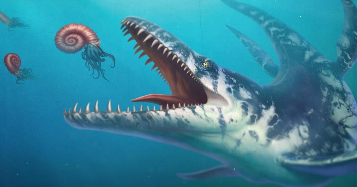 Eons | The Sea Monster from the Andes | Season 3 | Episode 19 | PBS