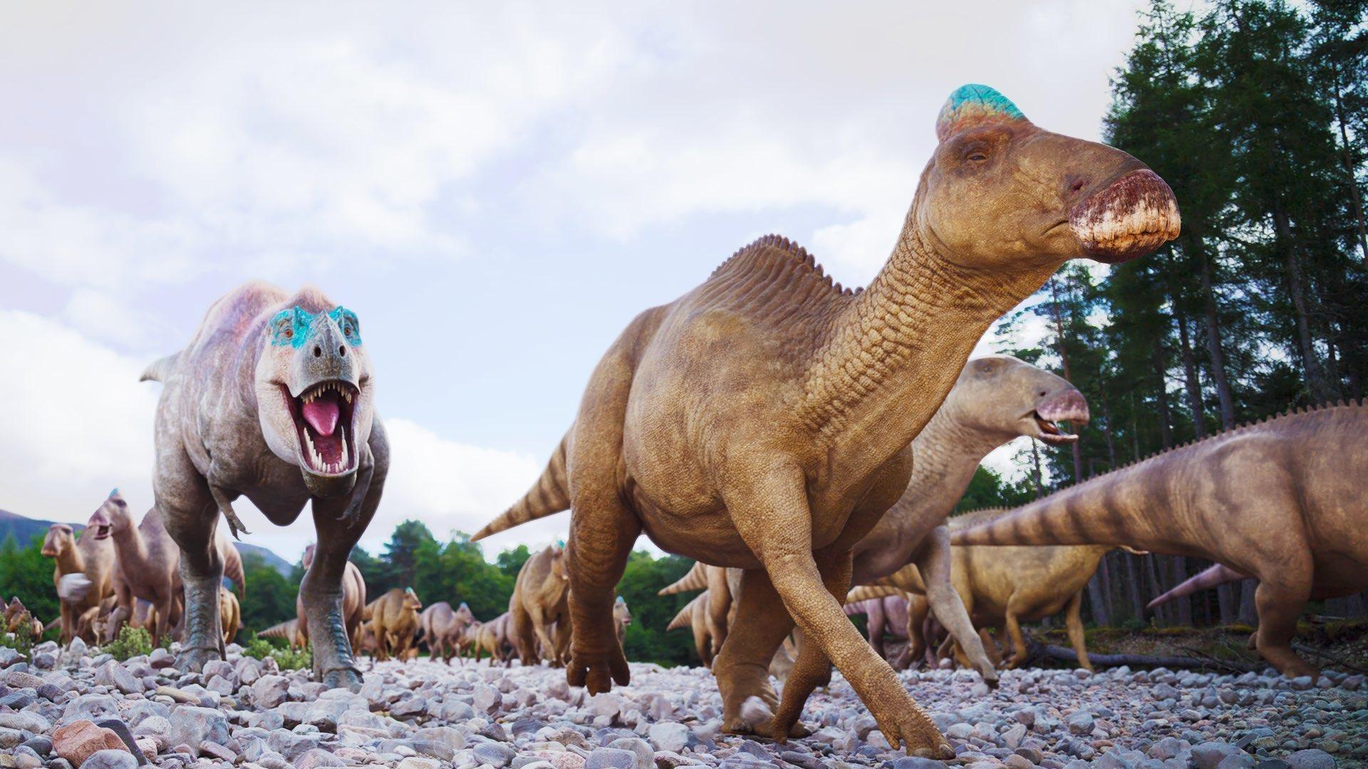 Did Dinosaurs Abandon Their Young to Help Them Survive? | Walking with ...