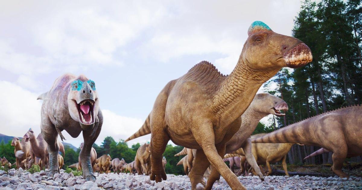 Walking with Dinosaurs | Did Dinosaurs Abandon Their Young to Help Them ...